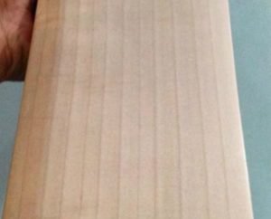 How to choose a cricket bat - Making Different